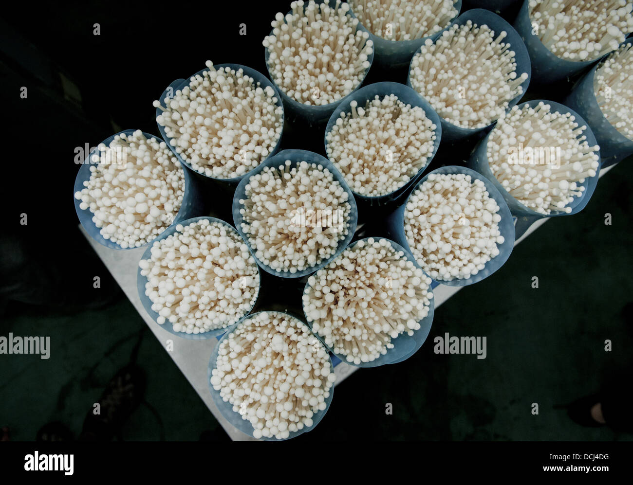View of a package of Chinese lily mushrooms at the production facility ...