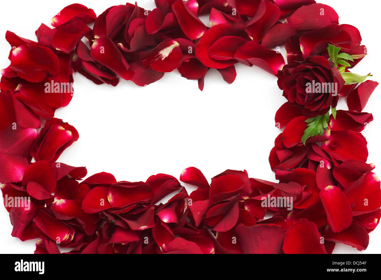 frame of red rose petals Stock Photo - Alamy