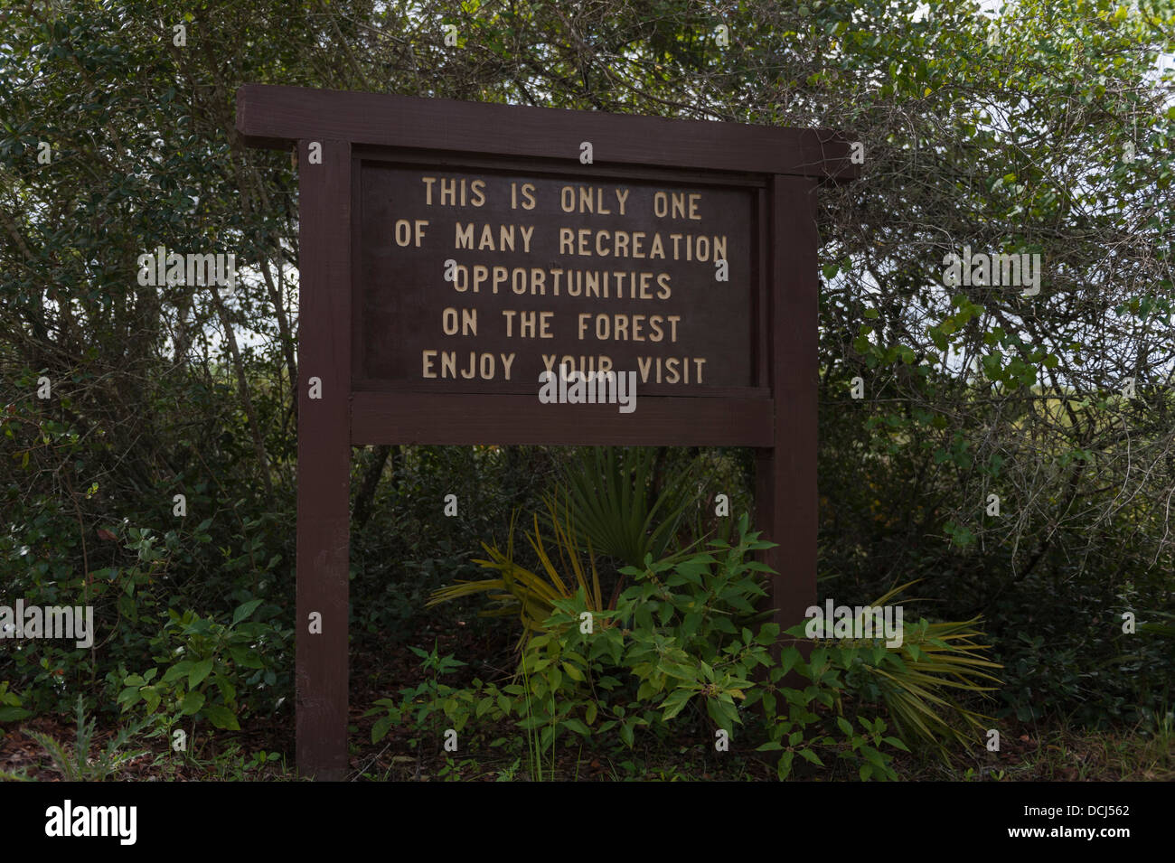 Ocala national park hi-res stock photography and images - Alamy