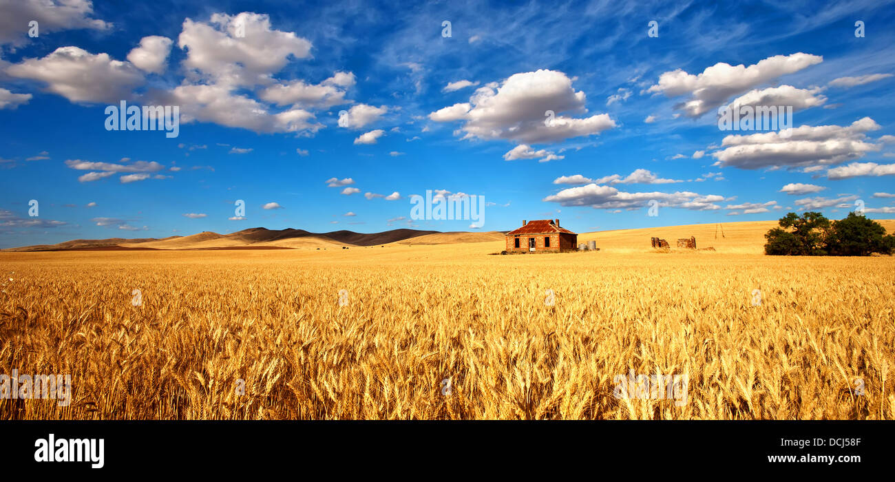 Old abandoned farm house homestead sits derelict in the middle of a ...