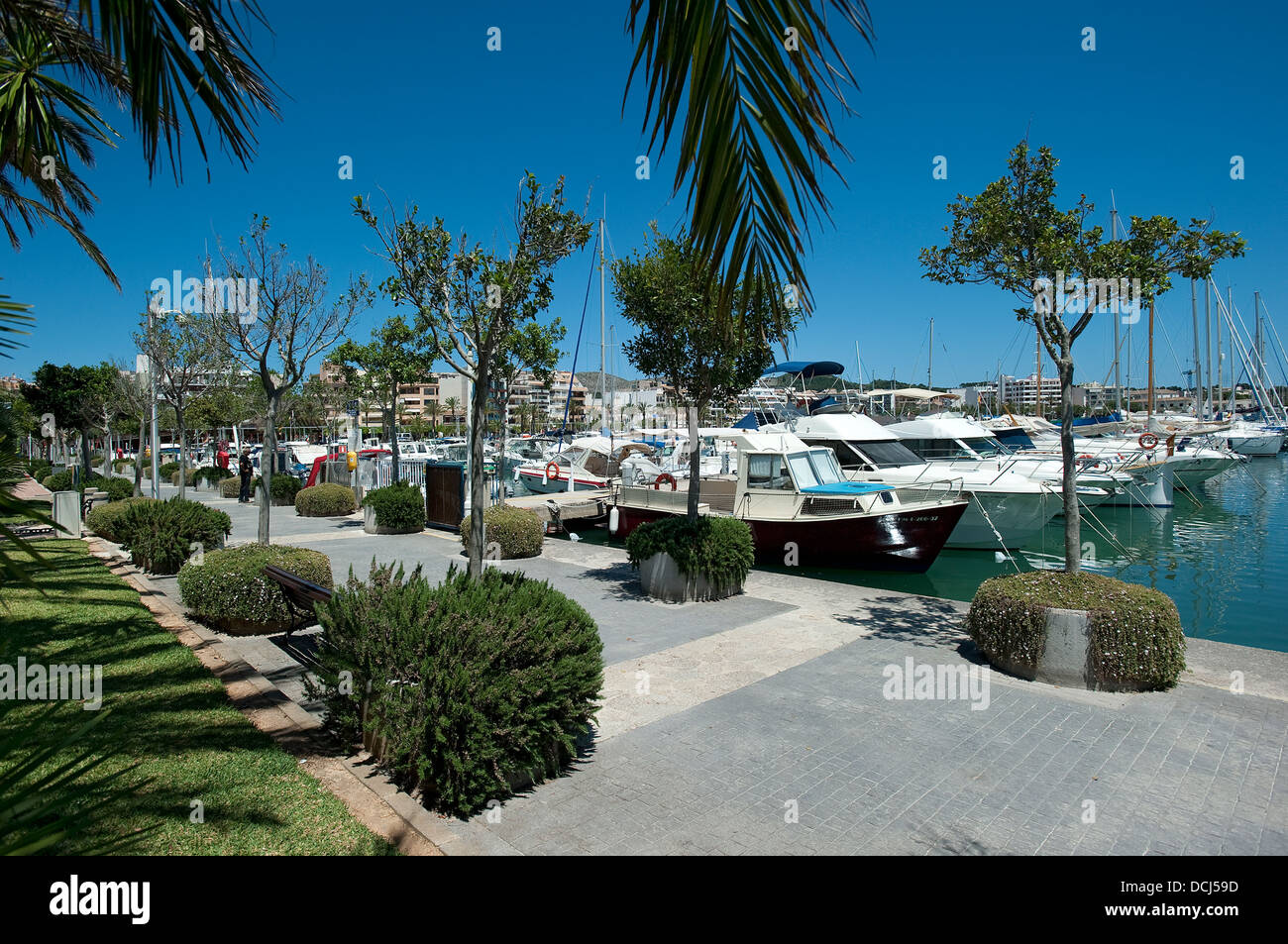 Port Alcudia Marina, Mallorca, Balearics, Spain Stock Photo - Alamy