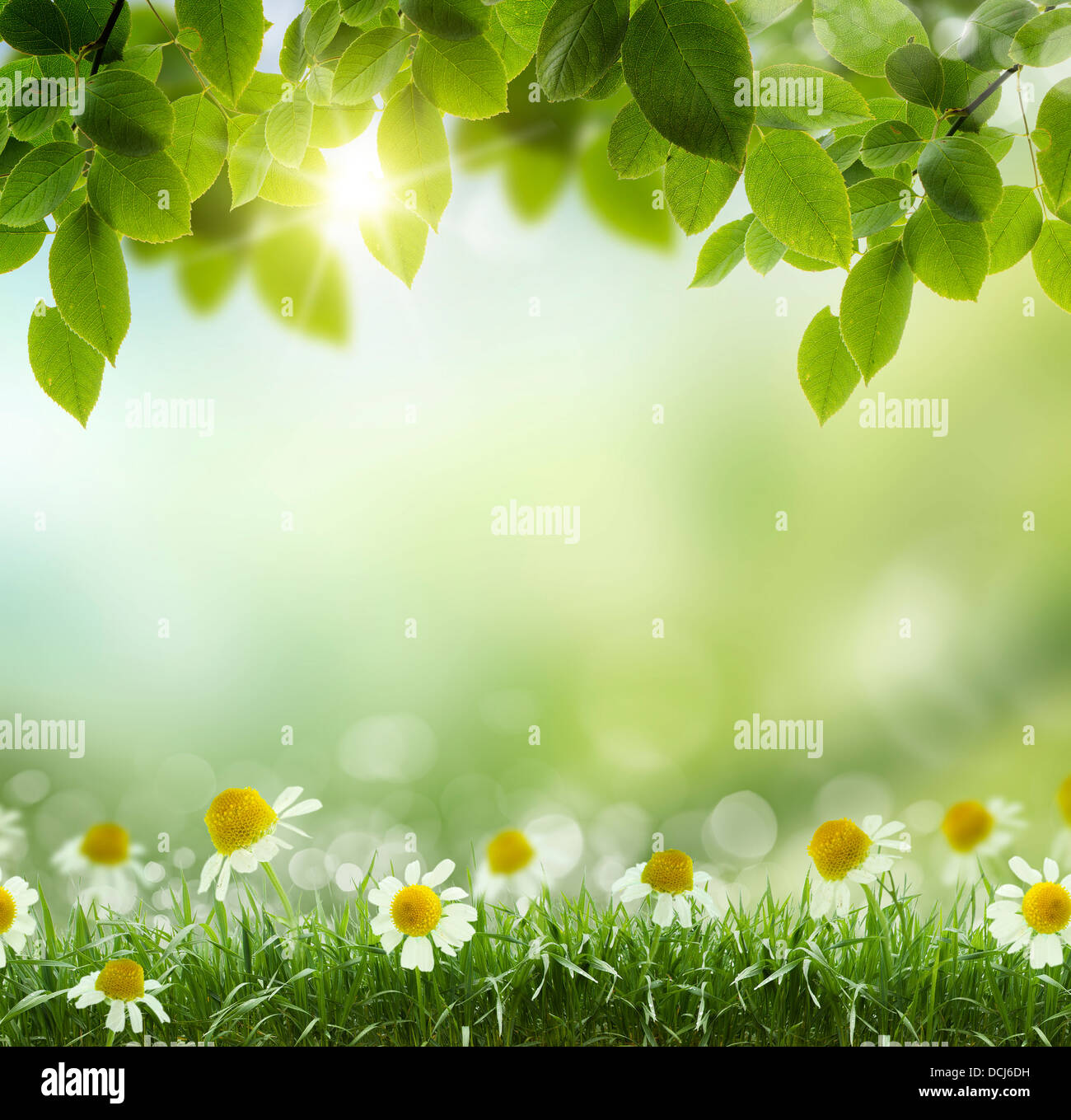 Spring or summer season abstract nature background with grass and blue ...