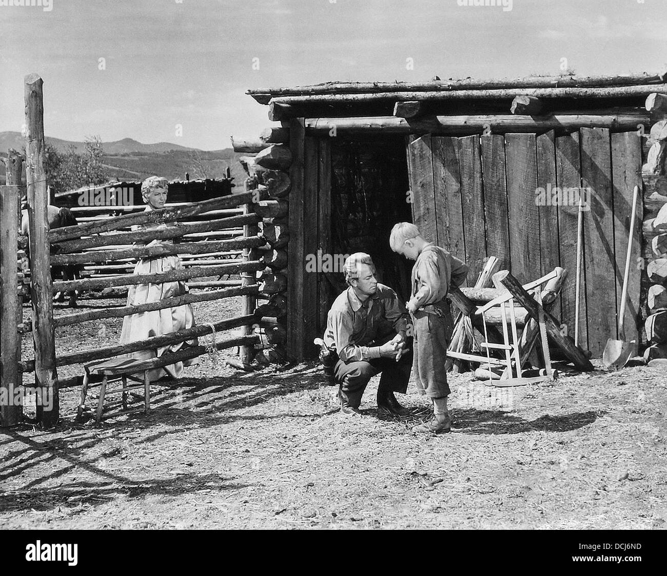 Shane 1953 alan ladd hi-res stock photography and images - Alamy