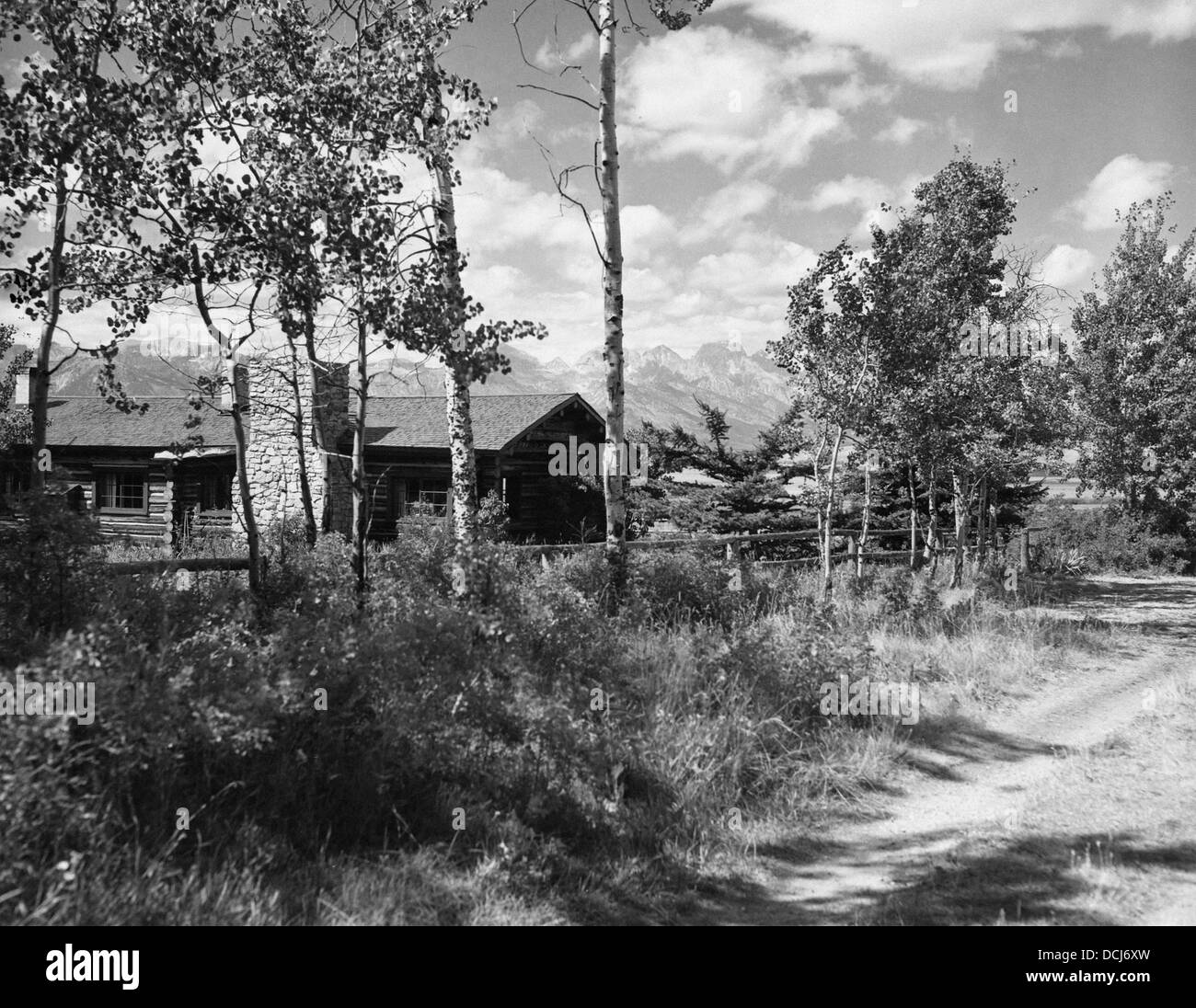 Shane 1953 alan ladd hi-res stock photography and images - Alamy