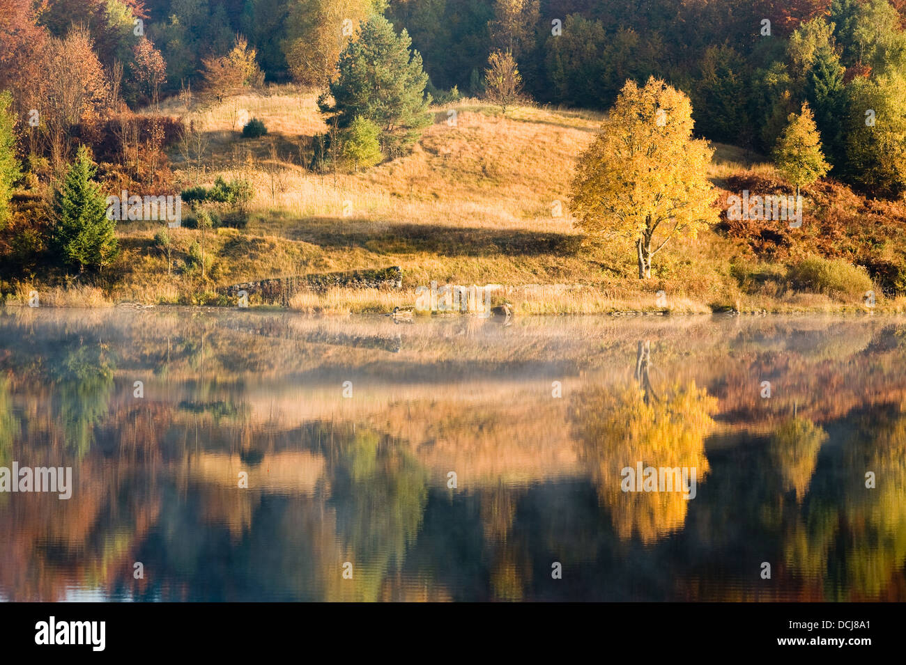 Fall autumnal lake reflection mist hi-res stock photography and images ...