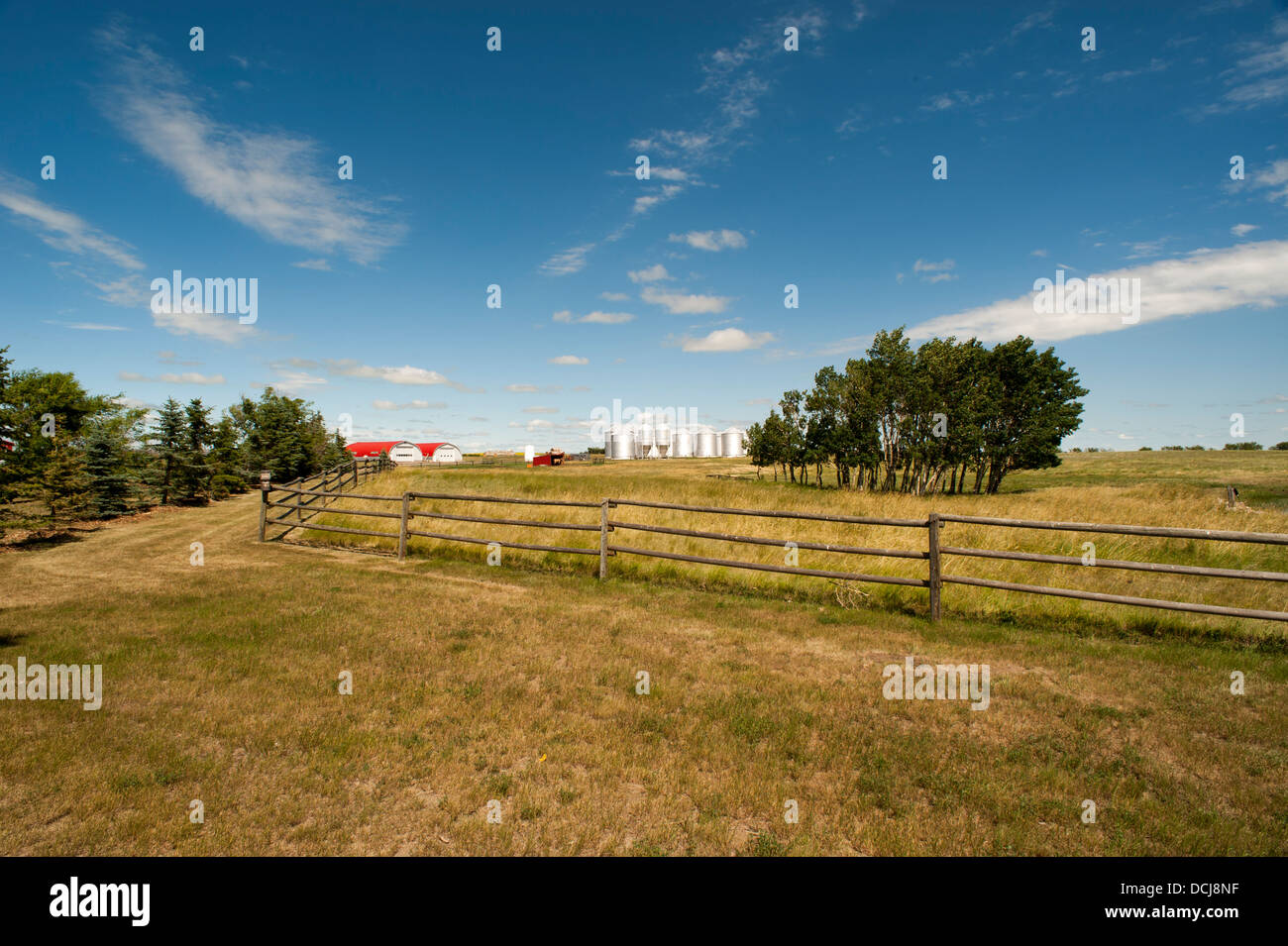 Saskatchewan farm canola hi-res stock photography and images - Alamy