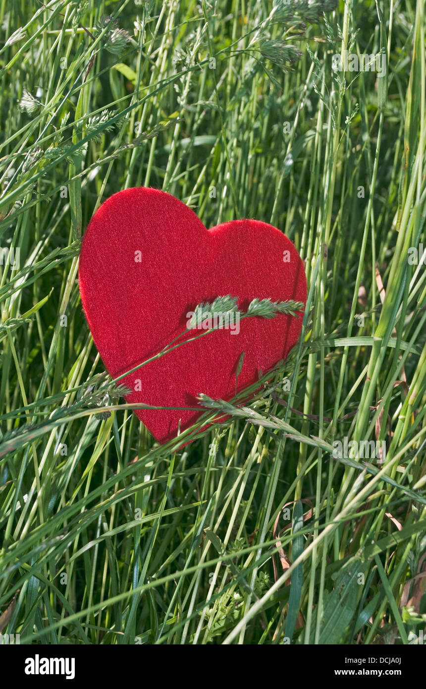 Heart in the grass Stock Photo - Alamy