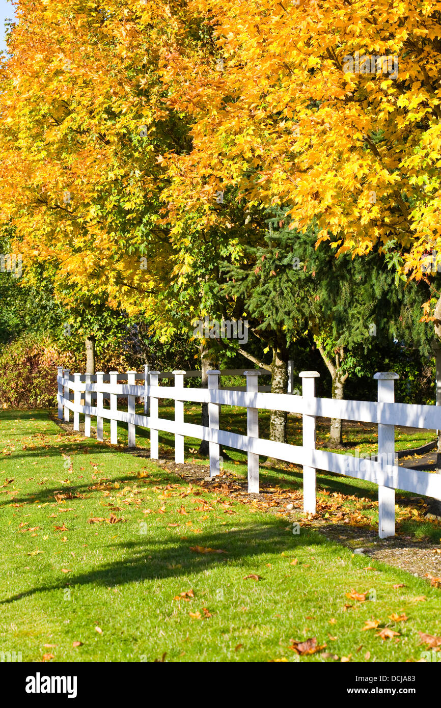 Fence autumn tree hi-res stock photography and images - Alamy