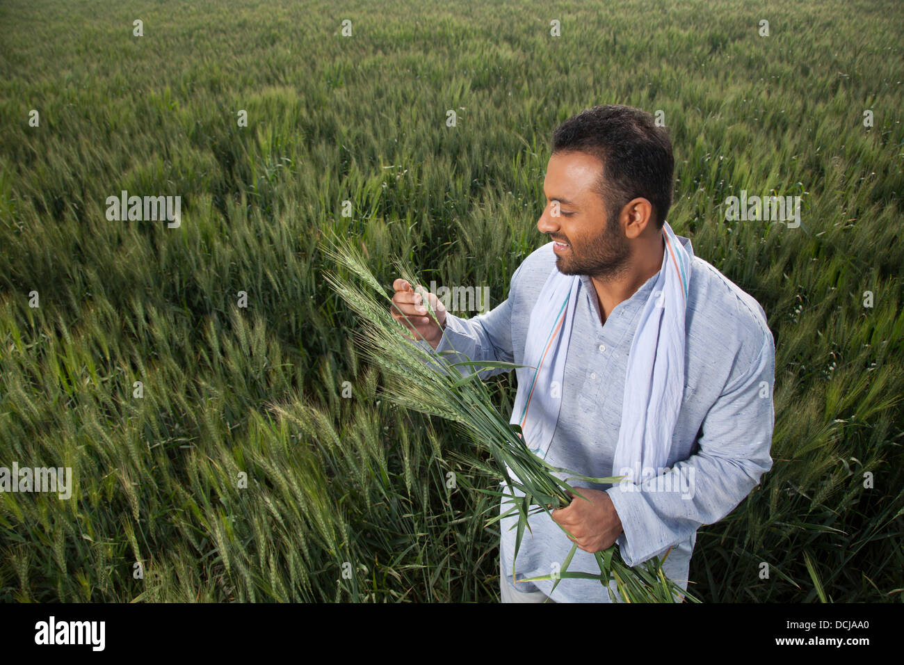 Indian man holding crop plant Stock Photo - Alamy