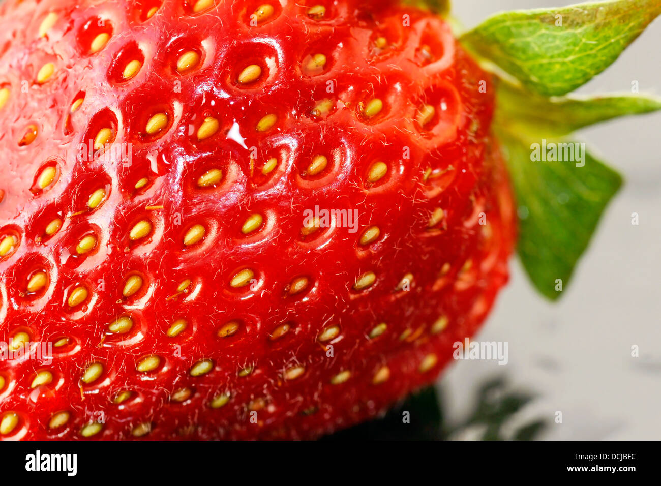 Beautiful macro fresh raw hi-res stock photography and images - Alamy