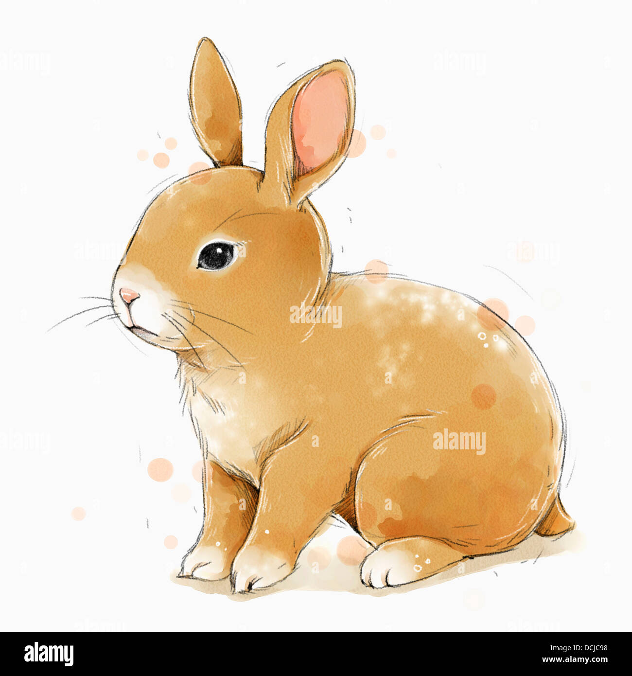 illustration painting of rabbit Stock Photo - Alamy