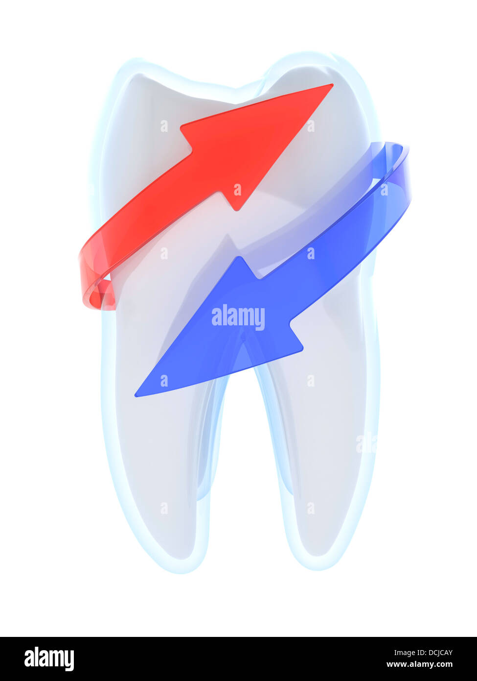 3D illustration of tooth with red and blue arrows - tooth protection ...