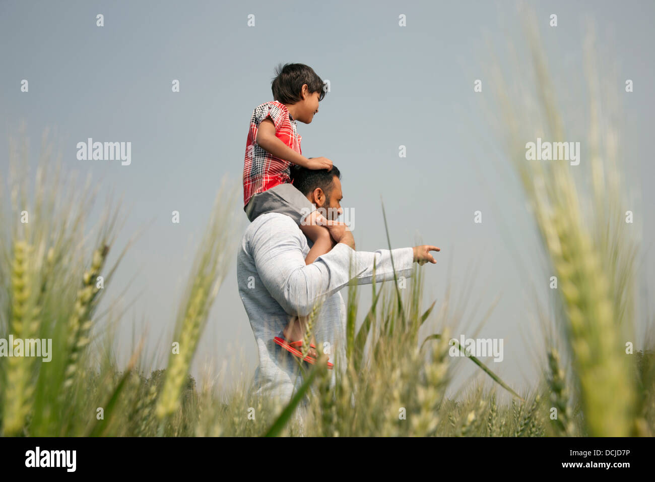 Man pointing at something while carrying little boy on shoulders Stock ...