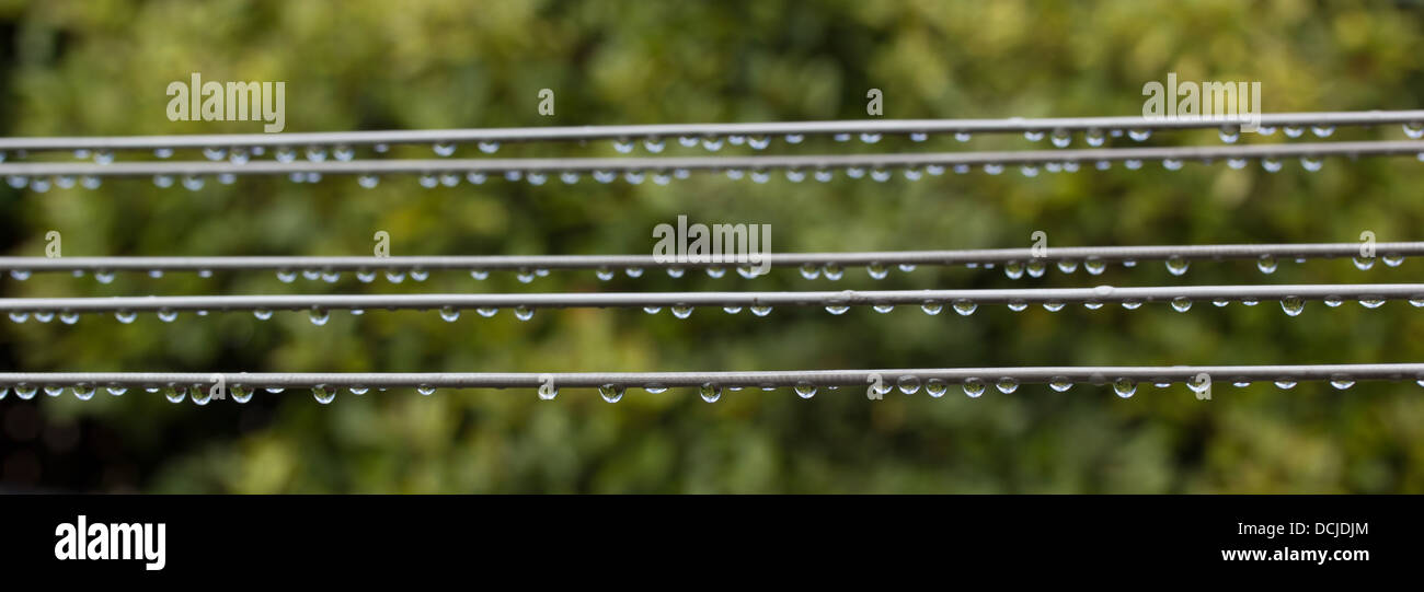 Raindrops on a washing line Stock Photo - Alamy