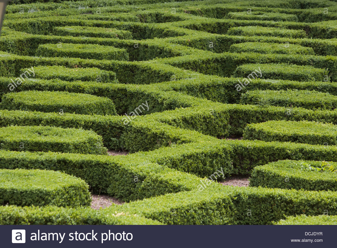 Maze Hedge Pattern Labyrinth Stock Photos & Maze Hedge Pattern ...