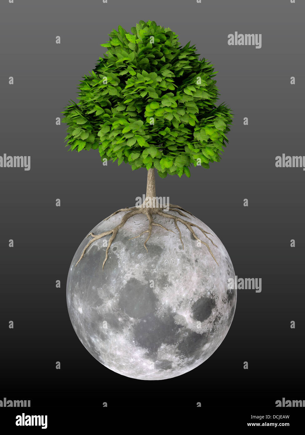 3D render of tree growing on Moon black background Stock Photo - Alamy