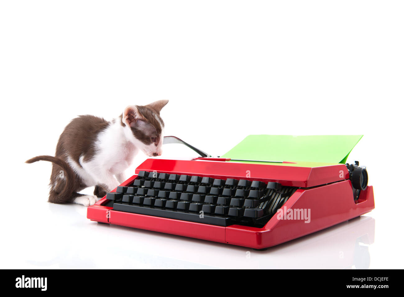 Little cat with red typewriter Stock Photo - Alamy
