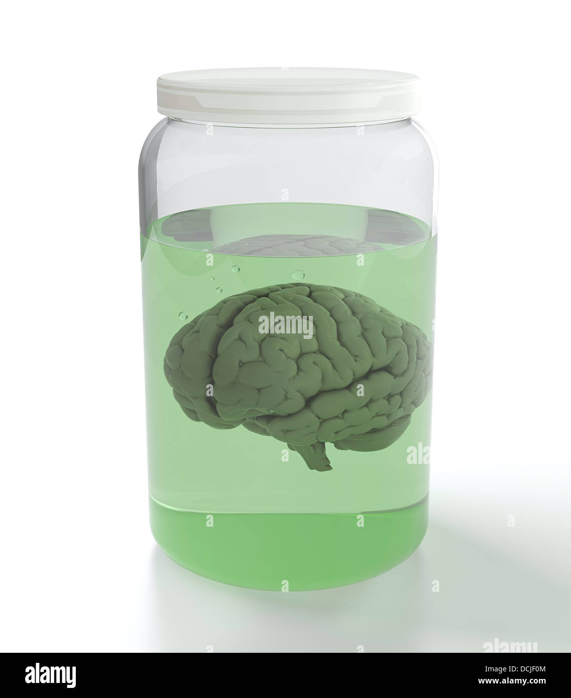 3D render of brain in jar with green liquid on white background Stock ...