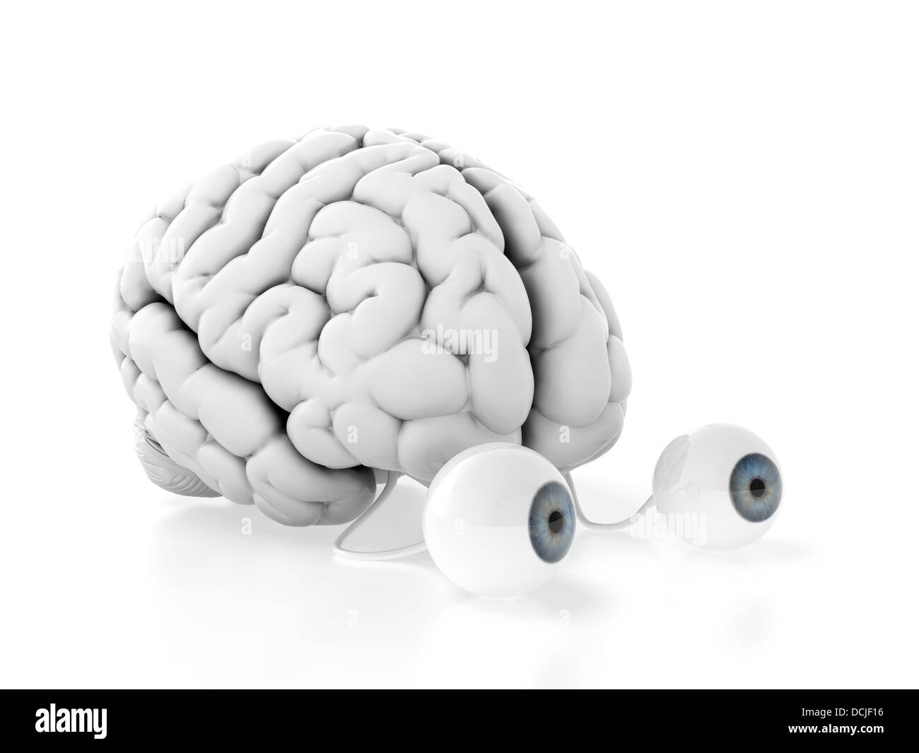 3d render of brain with eyes on white background Stock Photo - Alamy