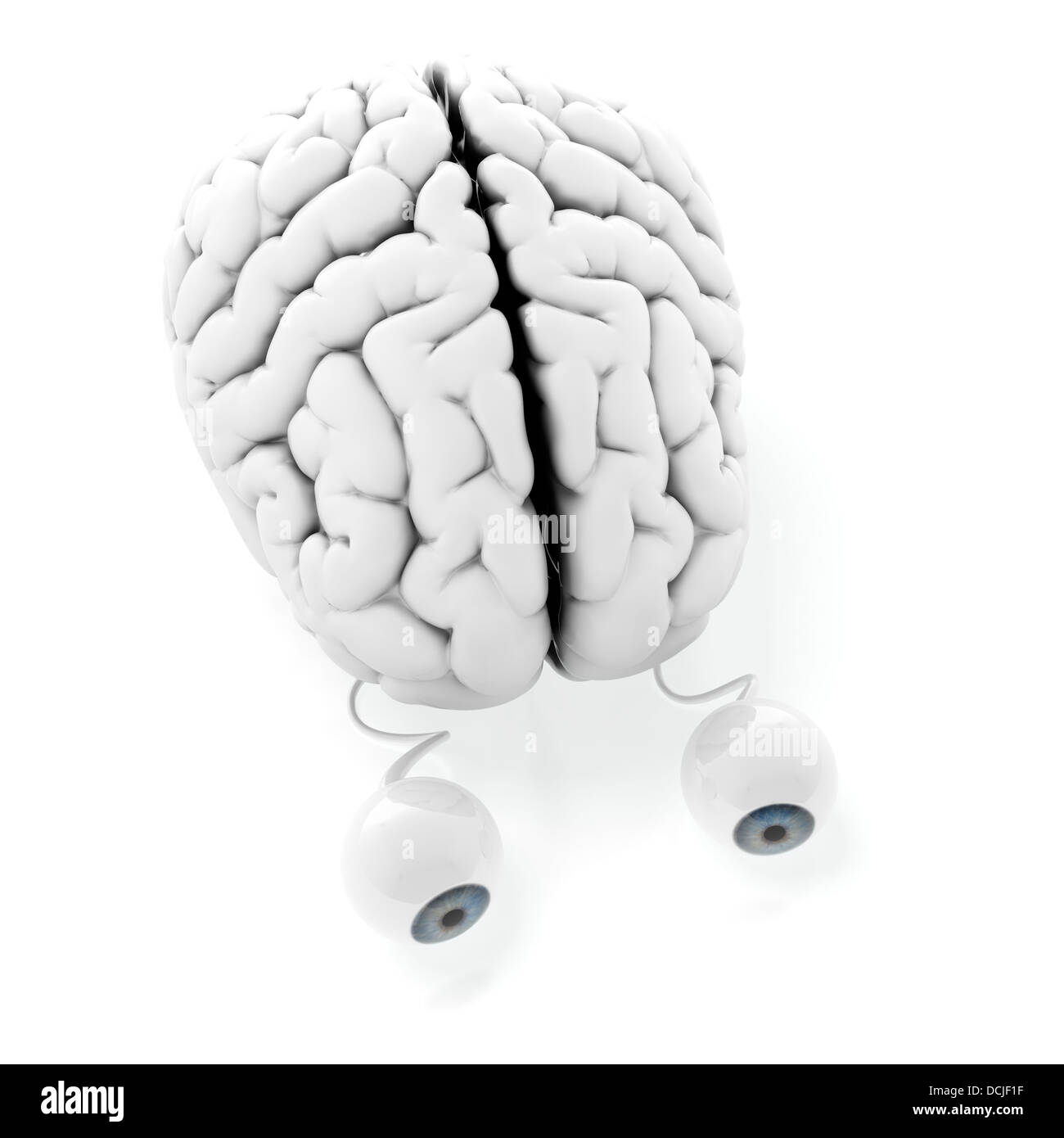 3d render of brain with eyes on white background Stock Photo - Alamy
