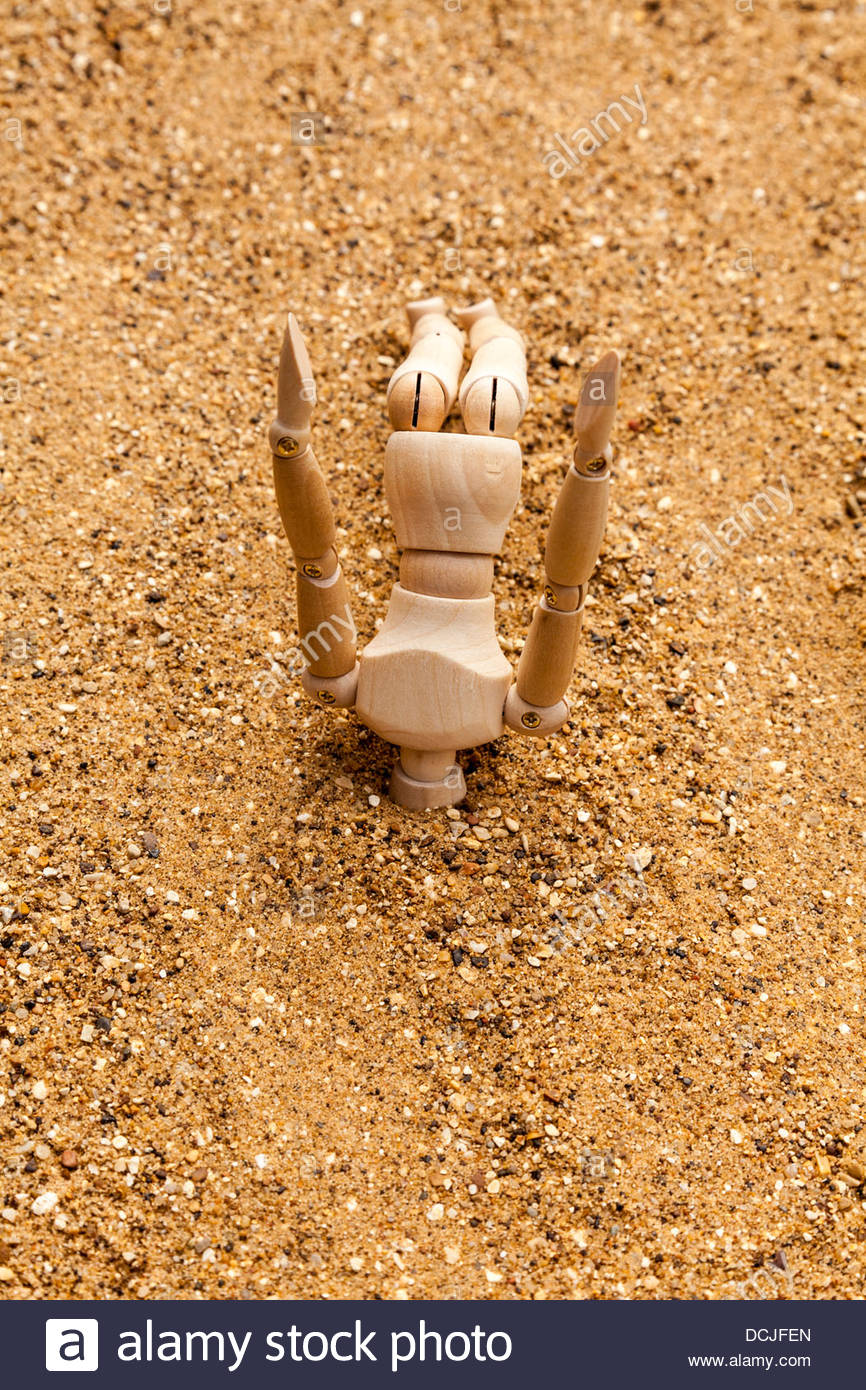 Bury Your Head In The Sand Stock Photos & Bury Your Head In The Sand ...