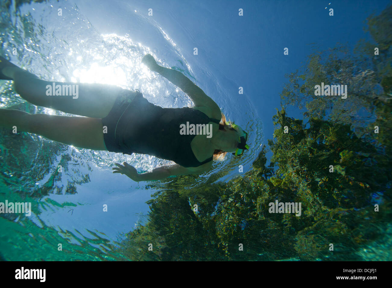 Blue swimming suit hi-res stock photography and images - Alamy