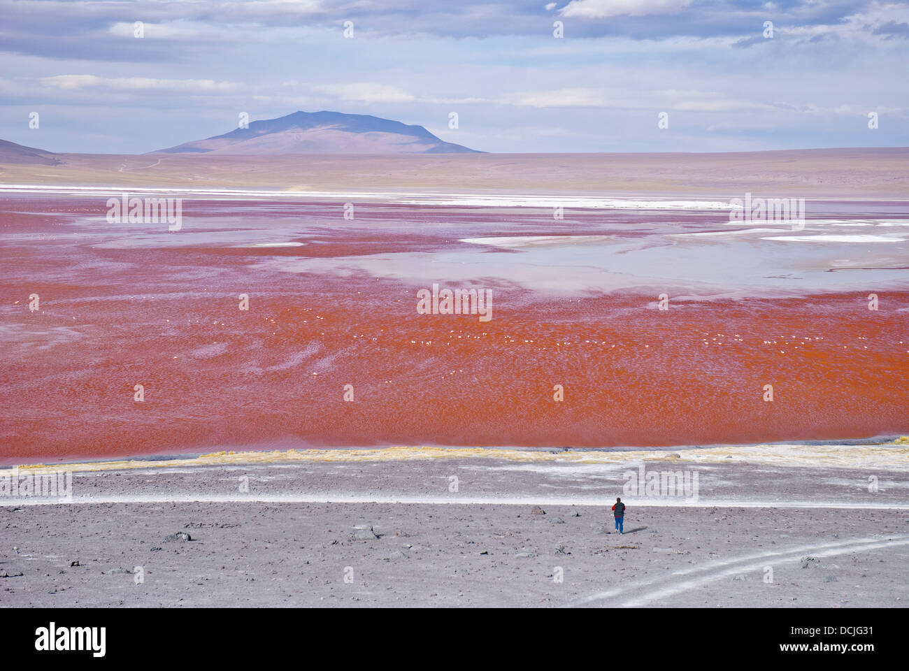 Laguna Colorada, Bolivia Stock Photo - Alamy