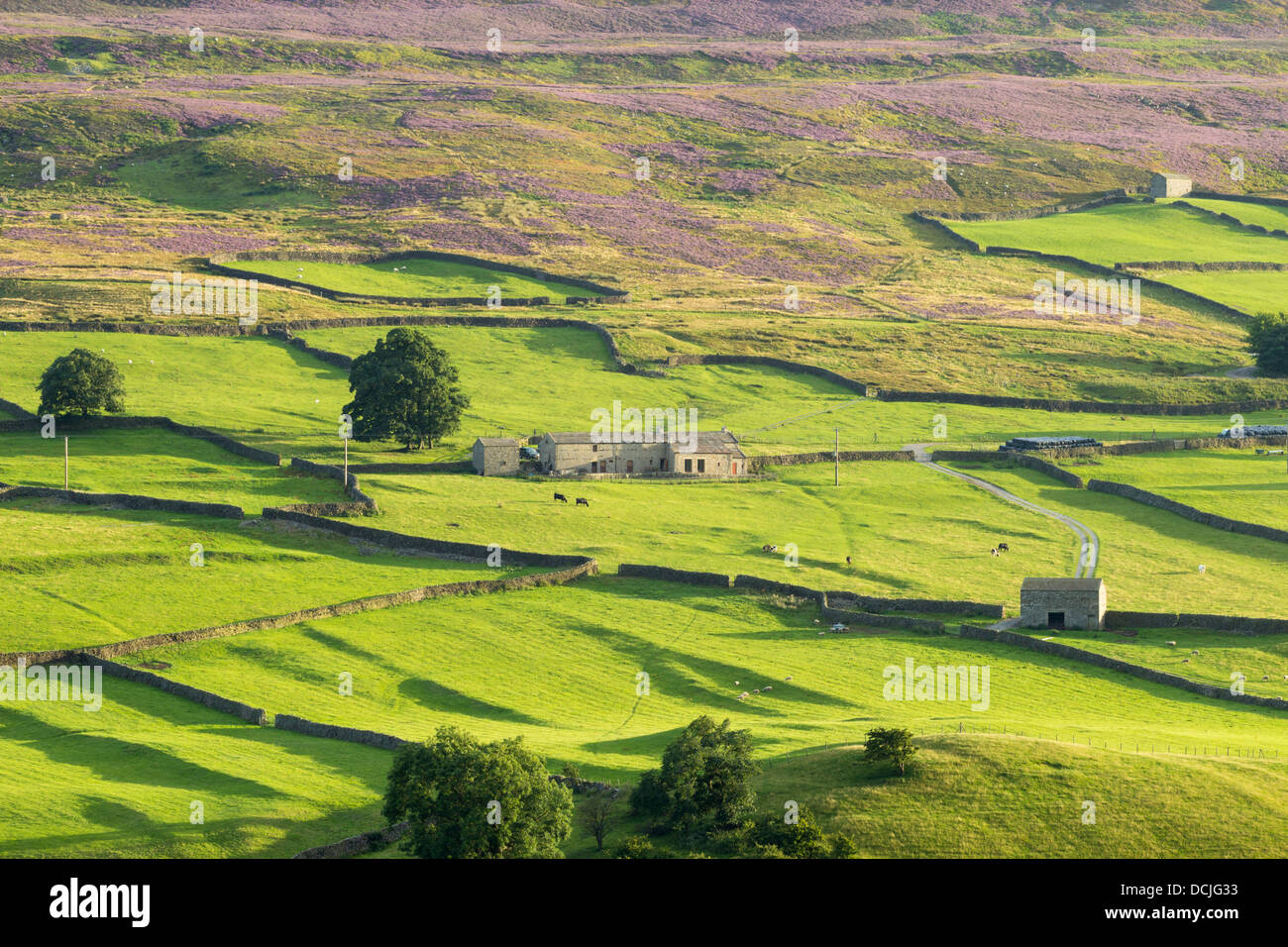 Dry Stone Walls and barns near Reeth village, Swaledale, Yorkshire ...