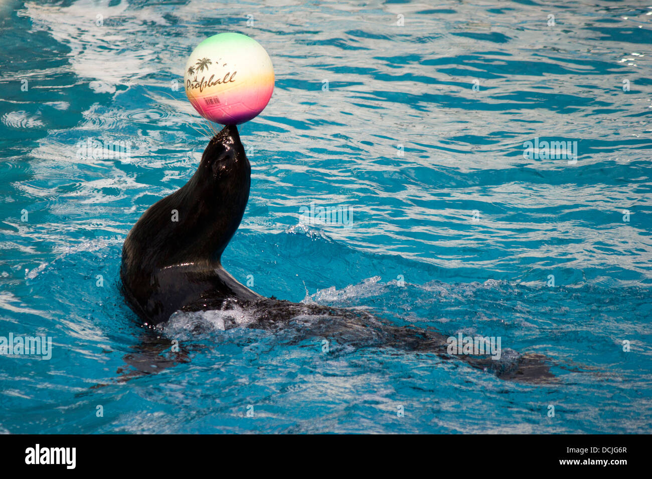 Summer ball dance hi-res stock photography and images - Alamy