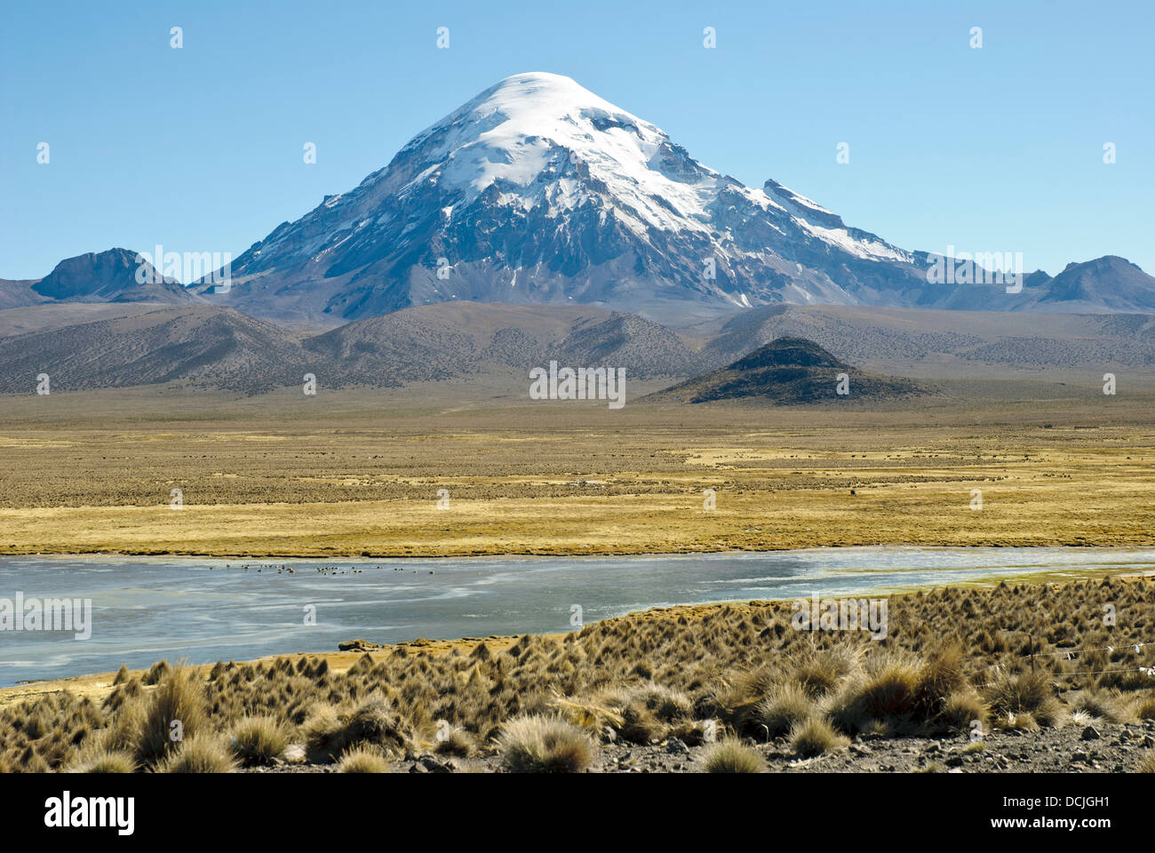 Sajama bolivia hi-res stock photography and images - Alamy