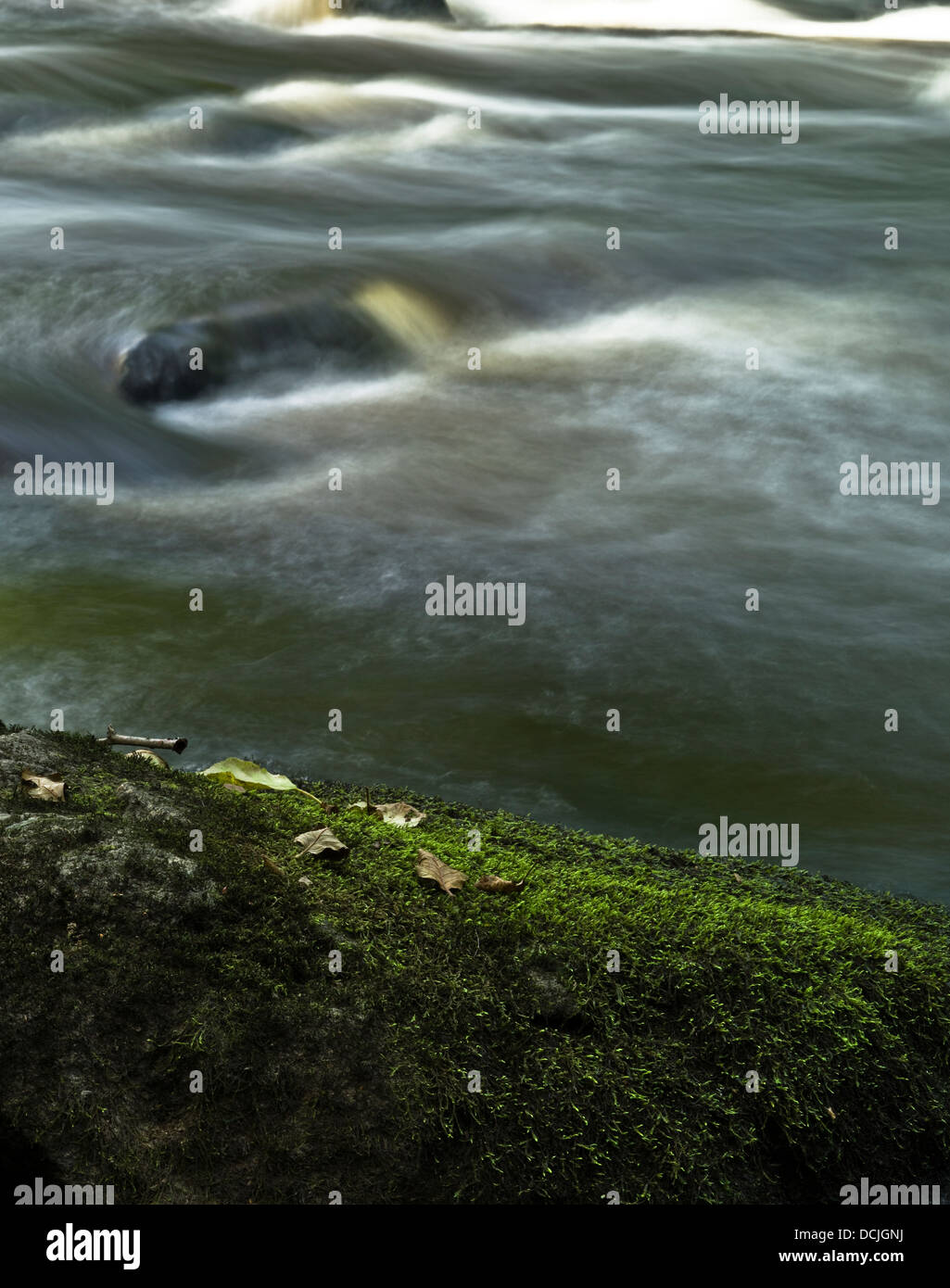 Slow rafting hi-res stock photography and images - Alamy