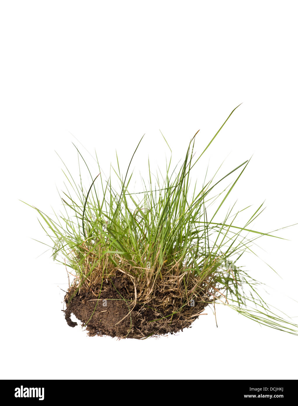 Gras roots hi-res stock photography and images - Alamy