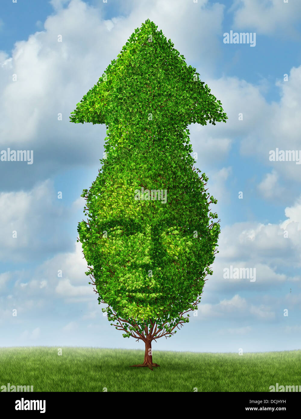 Personal growth and leadership development as a business concept of ...