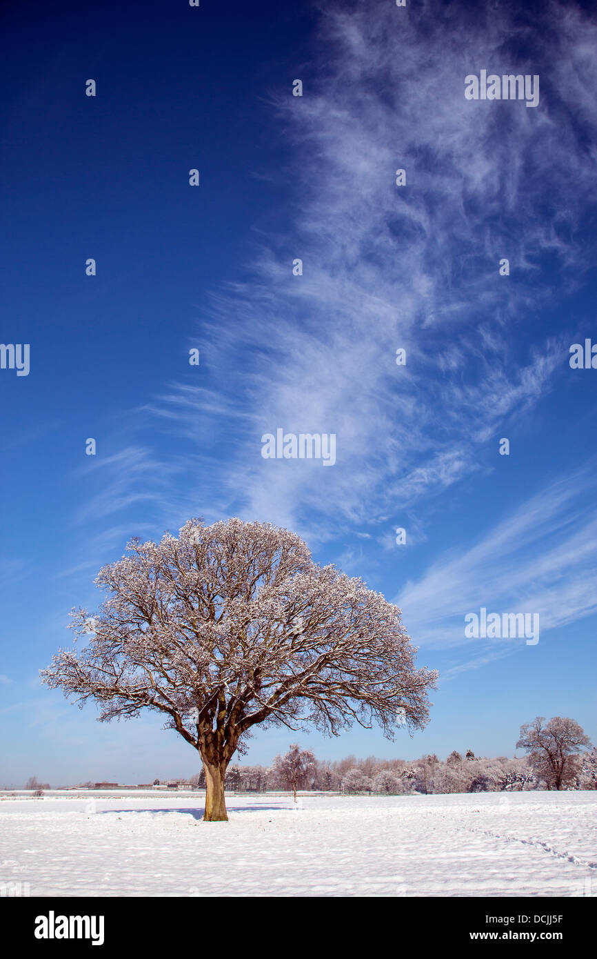 Applegarth hi-res stock photography and images - Alamy