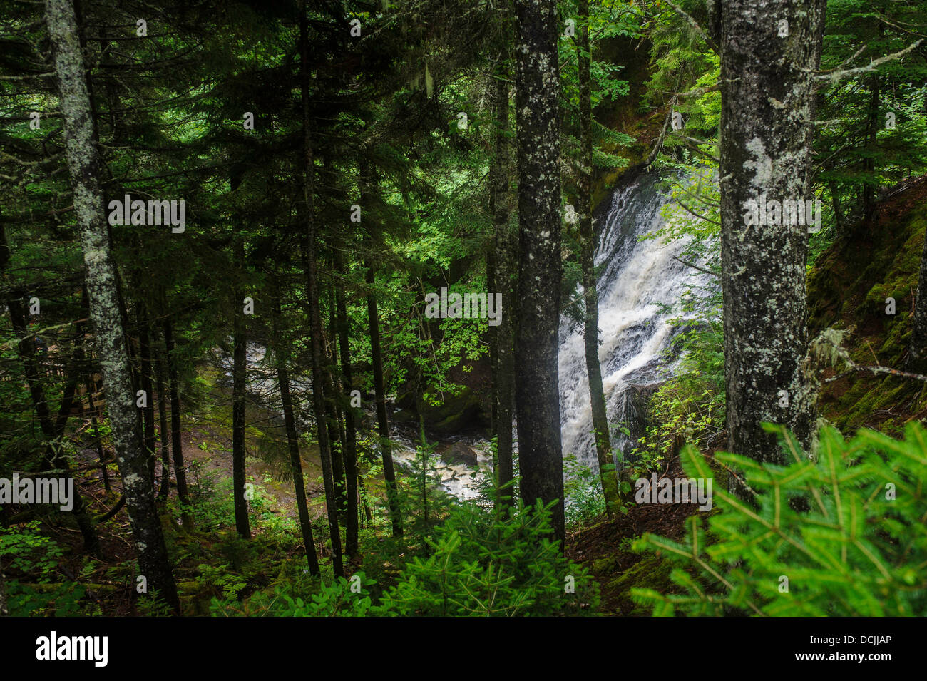 Fuller Falls at Fundy Trail New Brunswick Stock Photo - Alamy