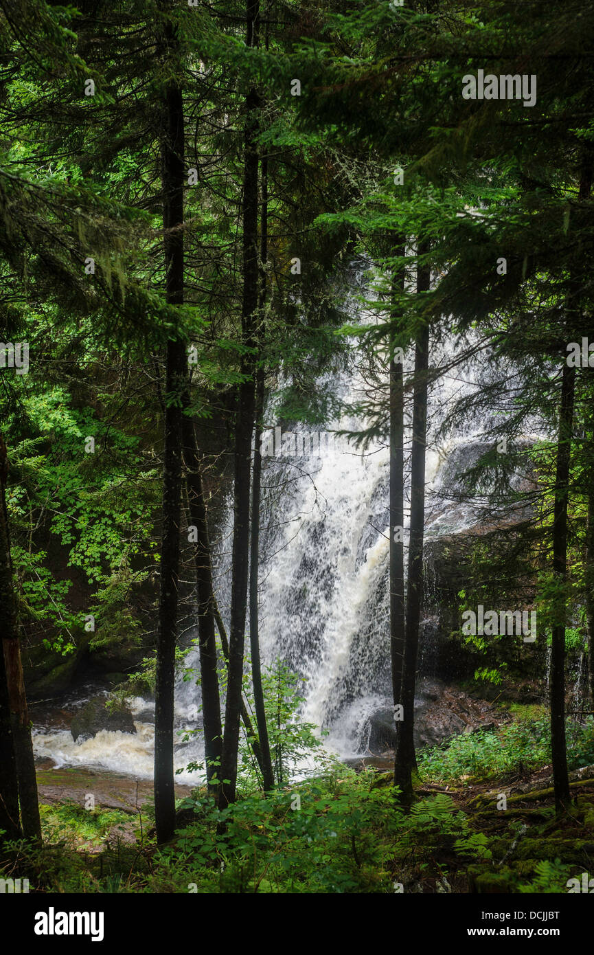 Fuller Falls at Fundy Trail New Brunswick Stock Photo - Alamy