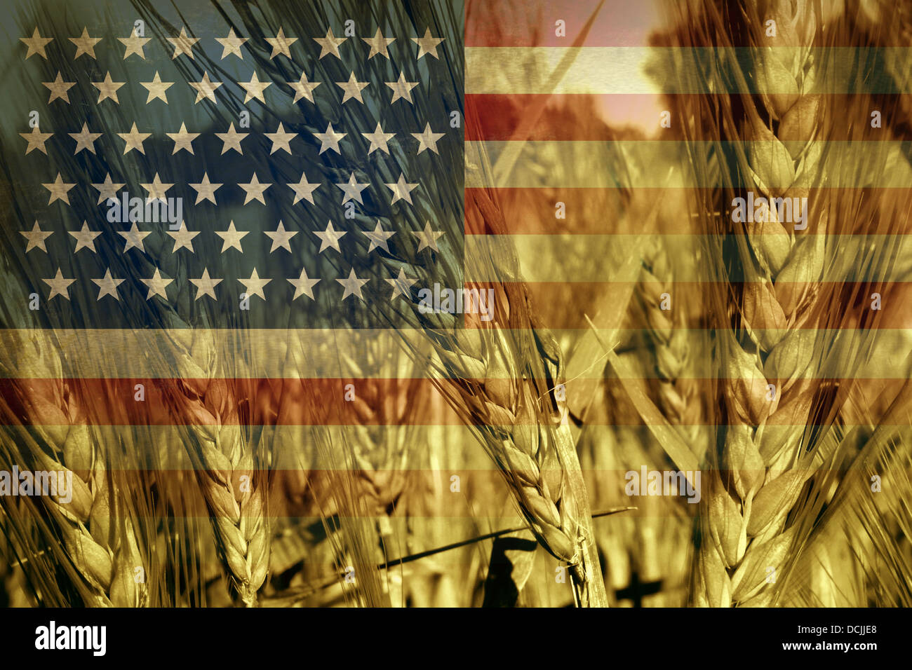 American agriculture concept and farming in the USA with the flag of ...