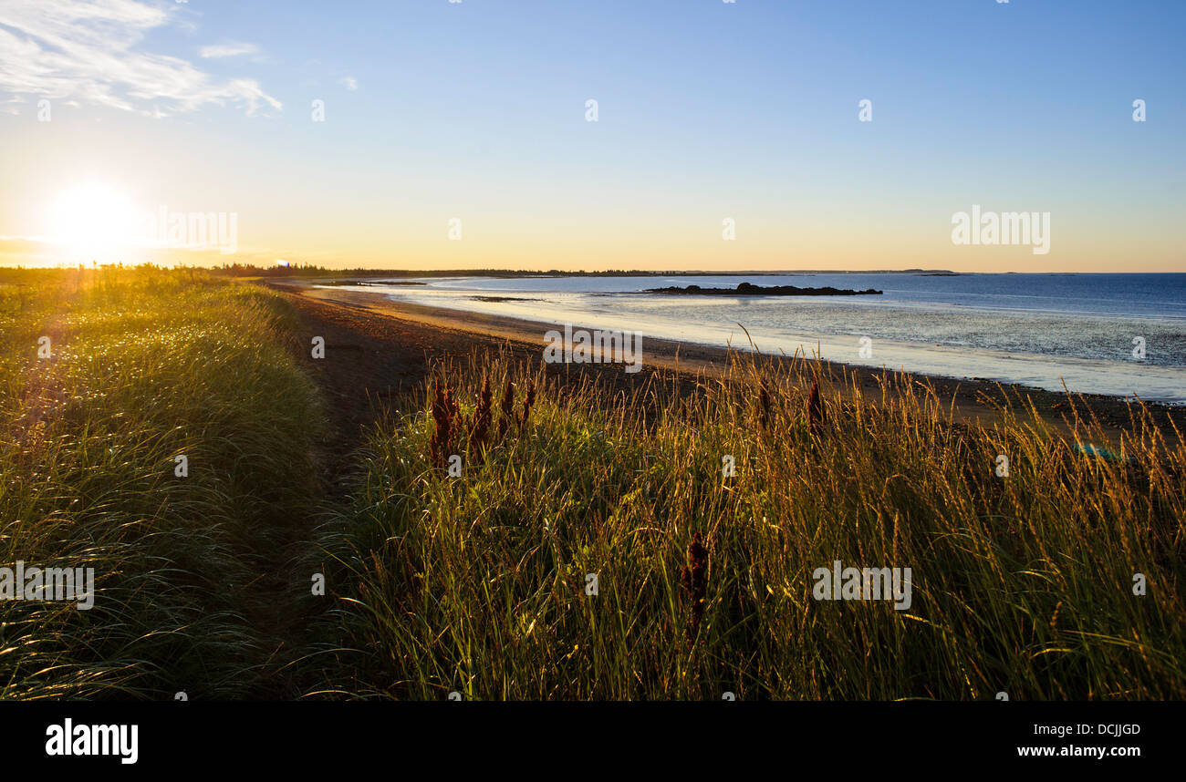 Grand manan island hi-res stock photography and images - Alamy