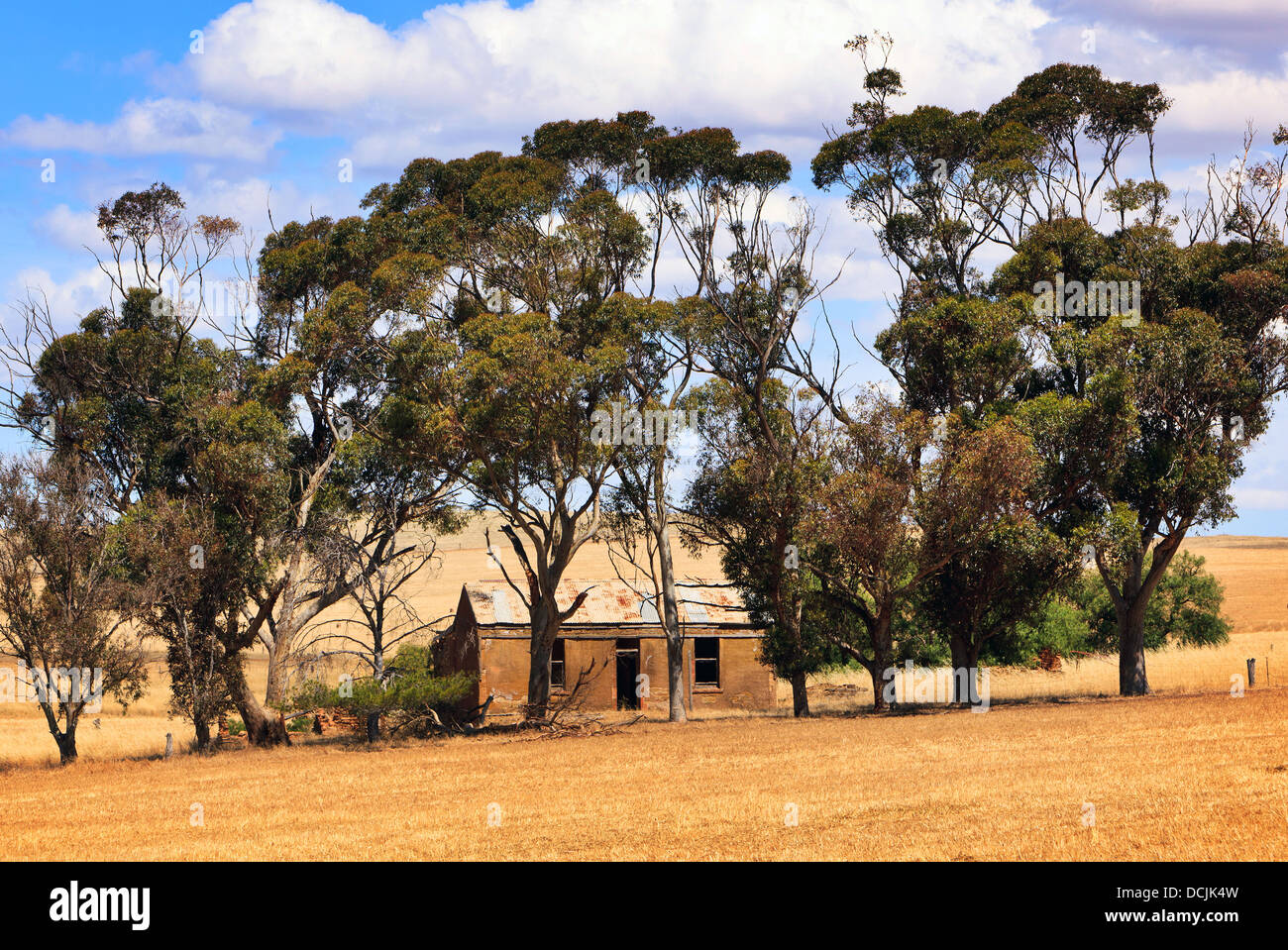 Old abandoned farm house homestead sits derelict middle wheat field ...