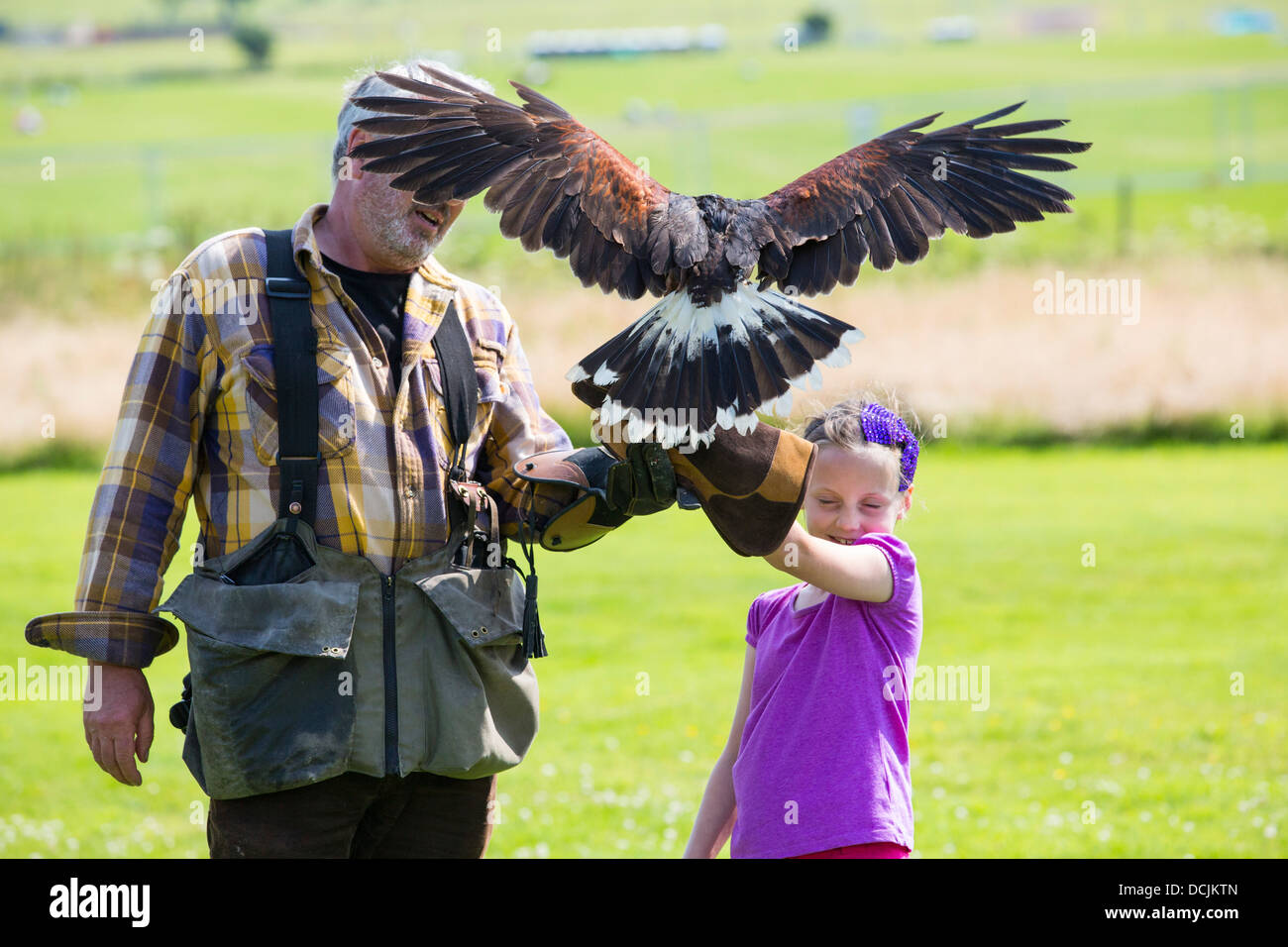 A falconry display at Lowther Bird of Prey Centre, near Penrith ...