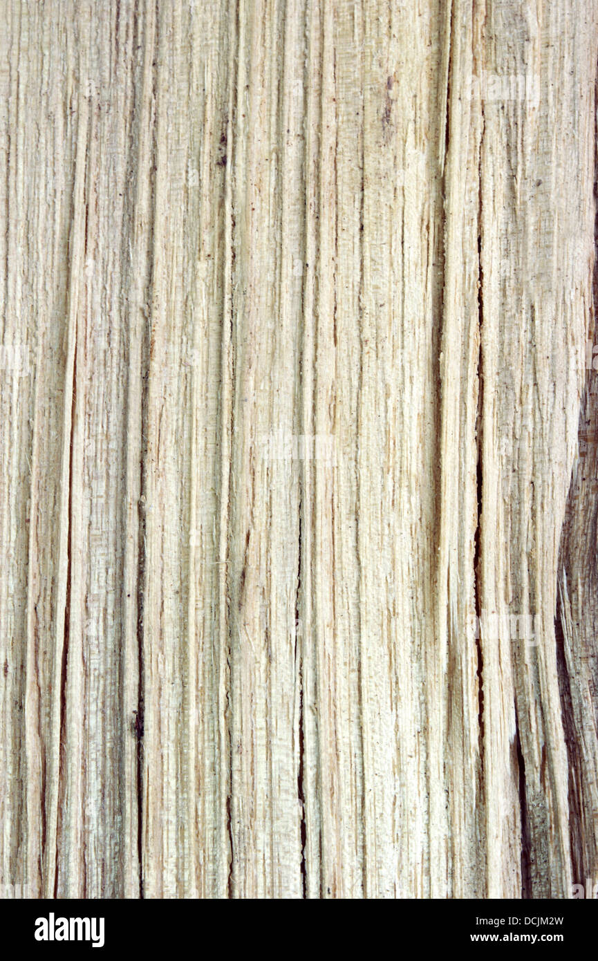 Acacia wood hi-res stock photography and images - Alamy