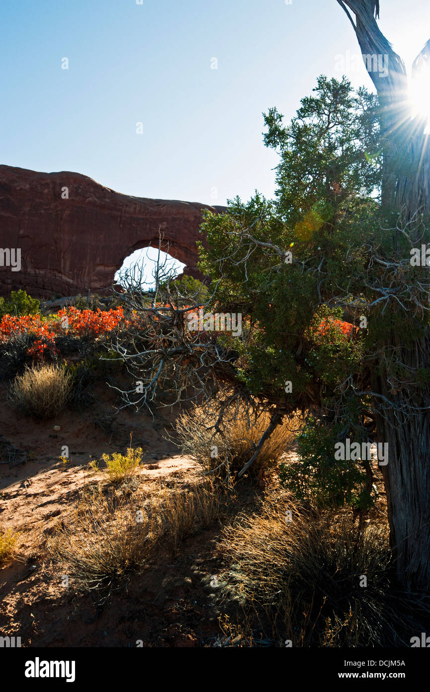 A desert landscape, Moab Utah, Arches National Park Stock Photo - Alamy