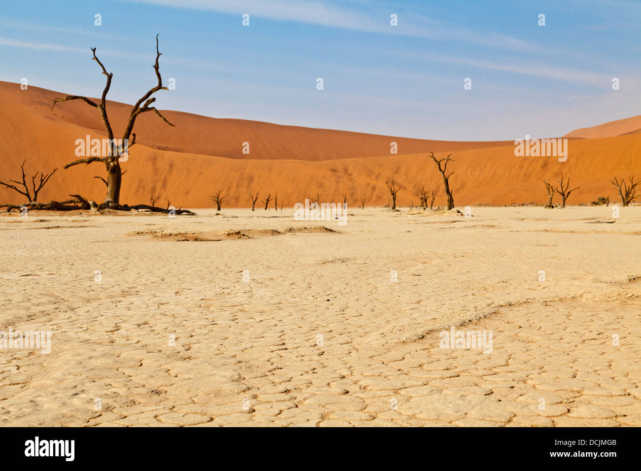 Dead trees in the clay pan of Deadvlei in Namibia Stock Photo - Alamy