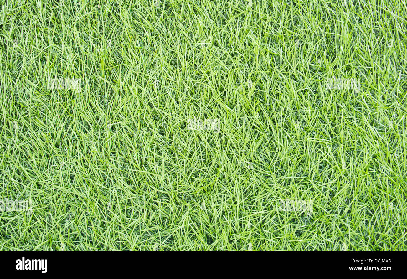The green long artificial turf background Stock Photo - Alamy