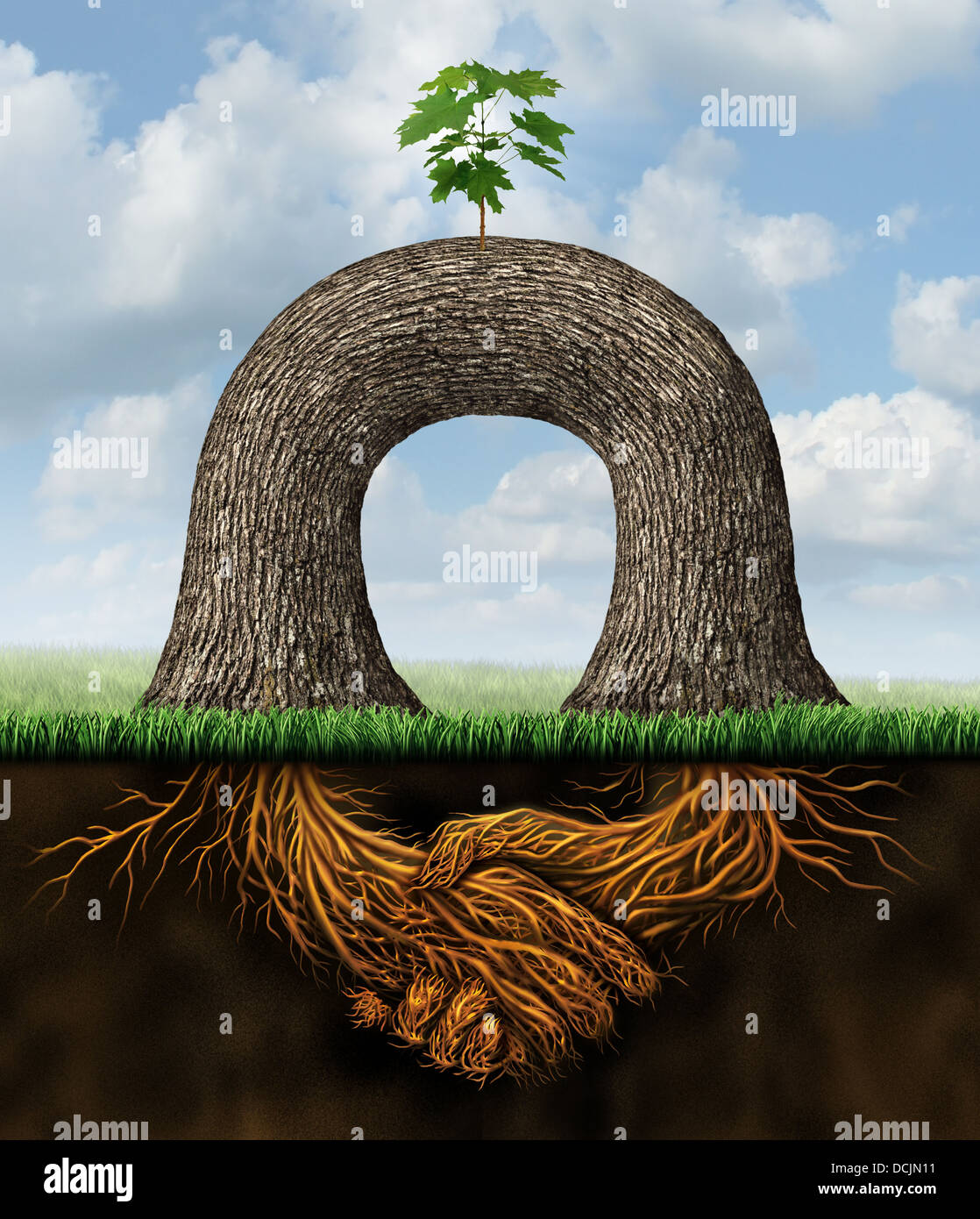 Partnership power business concept with two trees joining forces ...