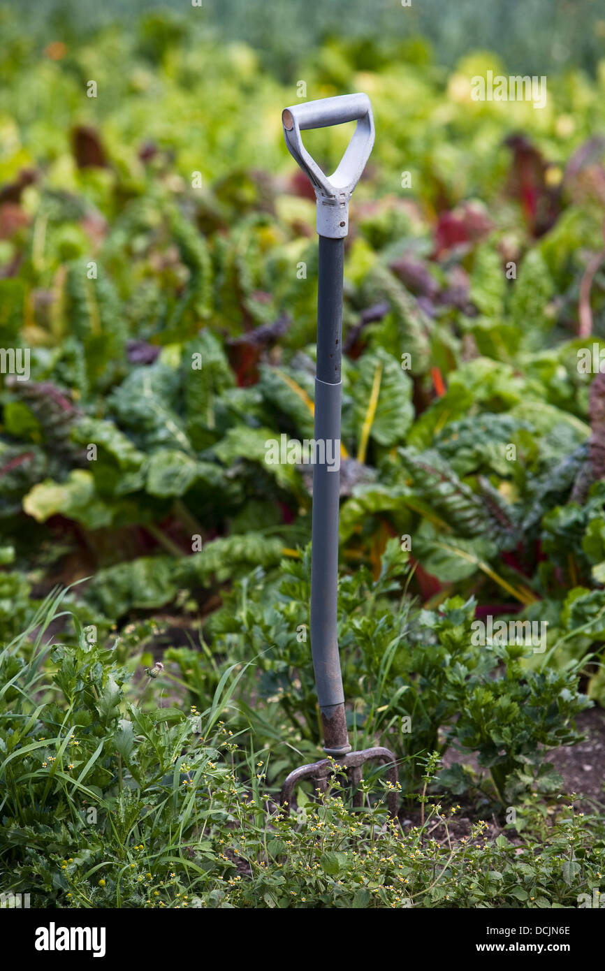 Groundbreaking garden hi-res stock photography and images - Alamy