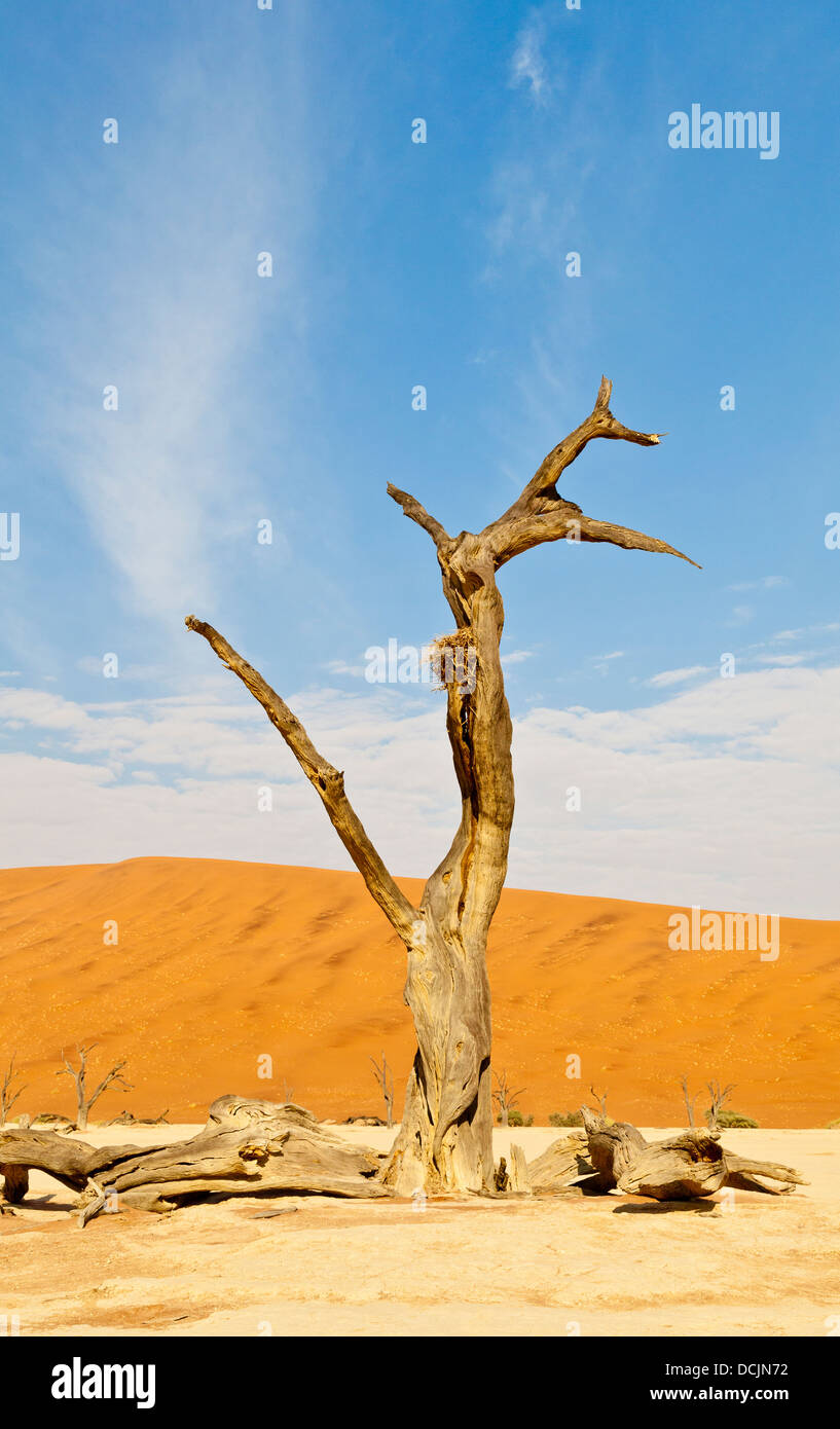 Clay trees hi-res stock photography and images - Alamy