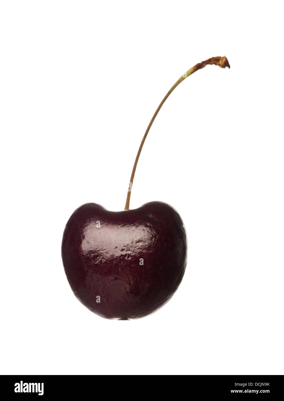 Dark cherry on white background Stock Photo - Alamy