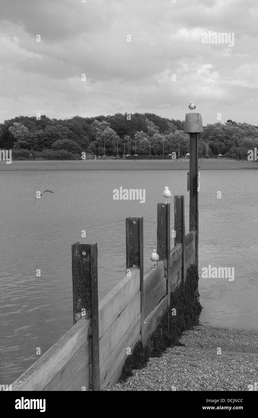 Breakwater on coast Black and White Stock Photos & Images - Alamy