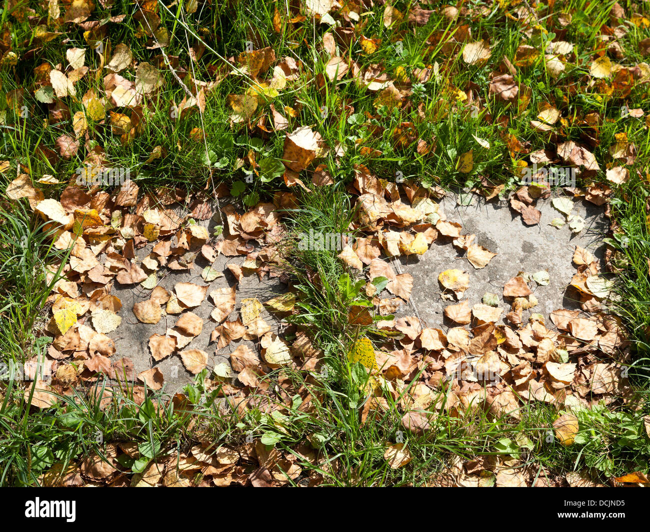 Pavement slab hi-res stock photography and images - Alamy